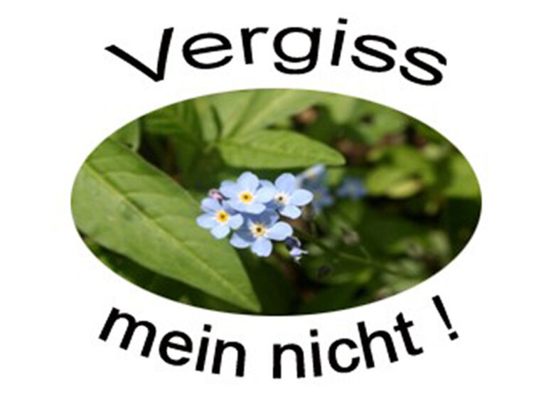 Selbsthilfegruppen : DDSA